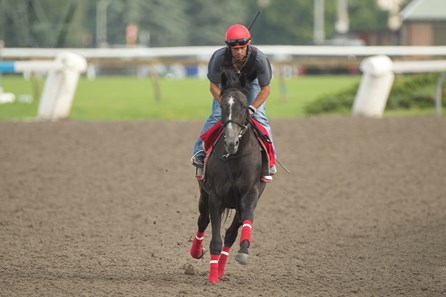 Swift Delivery - Horse Profile - BloodHorse