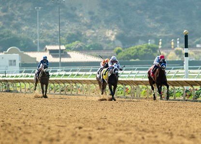 Nooni - Horse Profile - BloodHorse