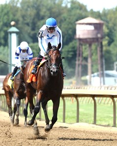 Owen Almighty - Horse Profile - BloodHorse