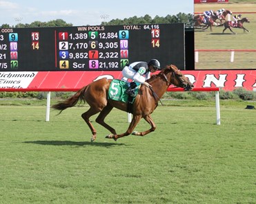 Active - Horse Profile - BloodHorse