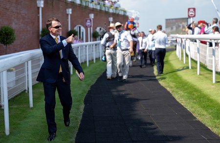 Opera Singer - Horse Profile - BloodHorse