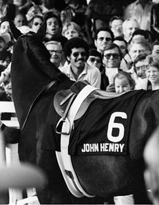John Henry - Horse Profile - BloodHorse