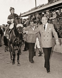 John Henry - Horse Profile - BloodHorse