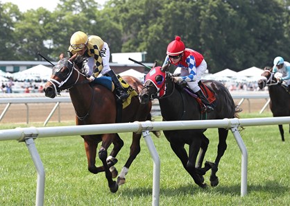 Governor Sam - Horse Profile - BloodHorse