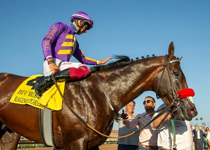 Raging Torrent - Horse Profile - BloodHorse