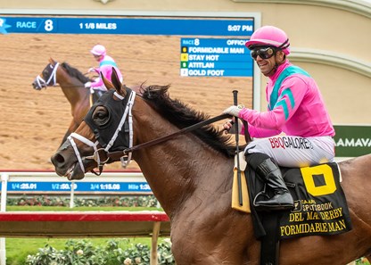 Formidable Man - Horse Profile - BloodHorse