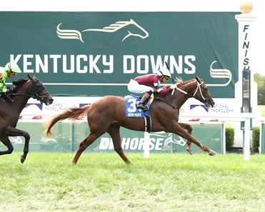 Warlander - Horse Profile - BloodHorse