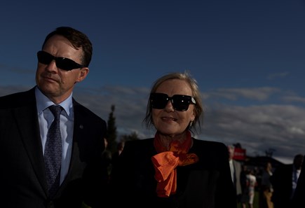 Kyprios (IRE) - Horse Profile - BloodHorse