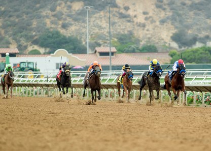 Muth - Horse Profile - BloodHorse
