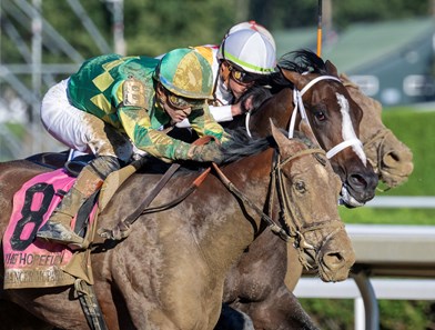 Chancer McPatrick - Horse Profile - BloodHorse