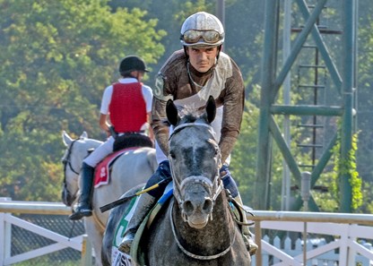 Post Time - Horse Profile - BloodHorse
