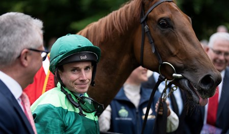 Whistlejacket (IRE) - Horse Profile - BloodHorse