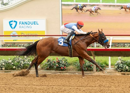 Muth - Horse Profile - BloodHorse