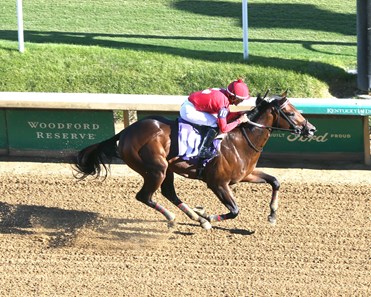 Jonathan's Way - Horse Profile - BloodHorse