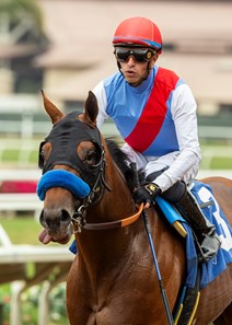 Muth - Horse Profile - BloodHorse