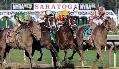 Chancer McPatrick - Horse Profile - BloodHorse