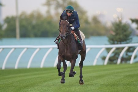 Starr Can See Woodbine Mile Bounce Back for Big Rock - BloodHorse