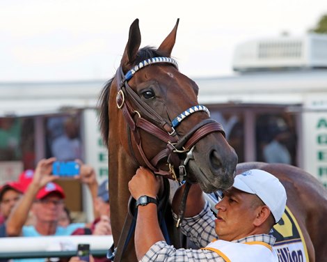 Thorpedo Anna Back on Top of NTRA Poll After Cotillion - BloodHorse