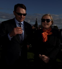 Kyprios (IRE) - Horse Profile - BloodHorse