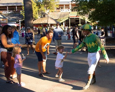 Chancer McPatrick - Horse Profile - BloodHorse