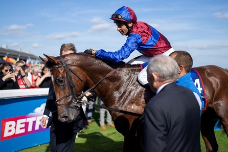 Jan Brueghel (IRE) - Horse Profile - BloodHorse