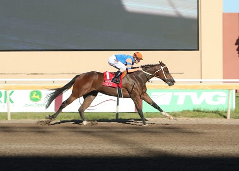 Glee Romps to Become Honor A. P.'s First Stakes Winner - BloodHorse