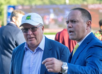 Chancer McPatrick - Horse Profile - BloodHorse