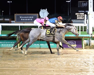 Hit Show - Horse Profile - BloodHorse
