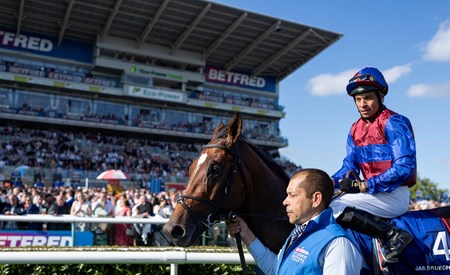Jan Brueghel (IRE) - Horse Profile - BloodHorse
