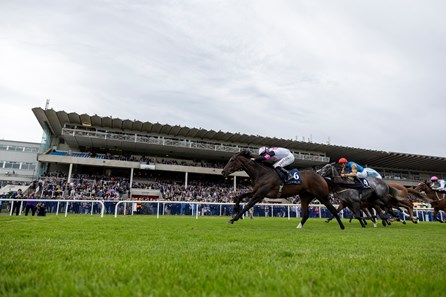 Porta Fortuna (IRE) - Horse Profile - BloodHorse