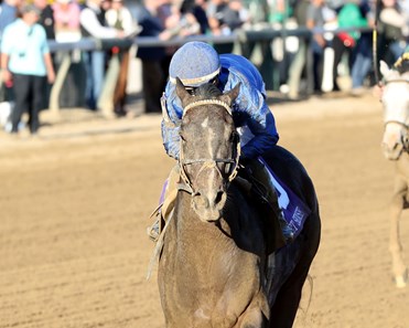 Sovereignty - Horse Profile - BloodHorse