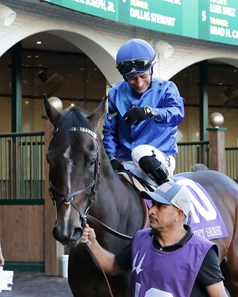 Sovereignty - Horse Profile - BloodHorse