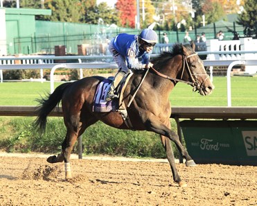 Sovereignty - Horse Profile - BloodHorse