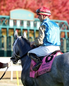 Hit Show - Horse Profile - BloodHorse