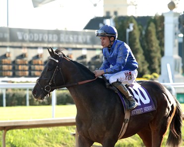 Sovereignty - Horse Profile - BloodHorse