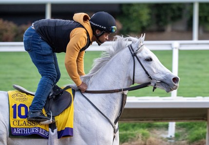 Arthur's Ride - Horse Profile - BloodHorse