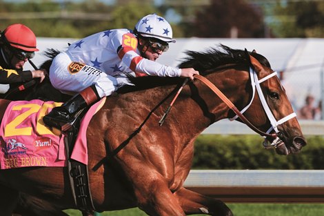 Old Friends Welcomes Kentucky Derby Winner Big Brown - BloodHorse