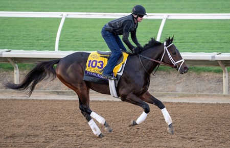 Fierceness - Horse Profile - BloodHorse