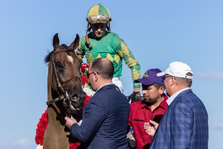 Chancer McPatrick - Horse Profile - BloodHorse