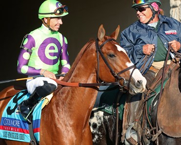Carl Spackler (IRE) - Horse Profile - BloodHorse