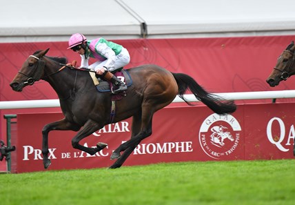 Bluestocking (GB) - Horse Profile - BloodHorse