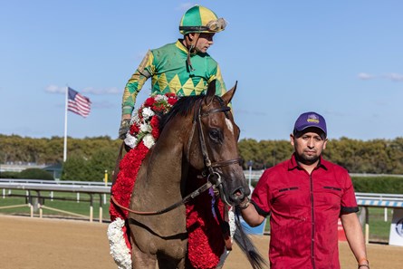 Chancer McPatrick - Horse Profile - BloodHorse