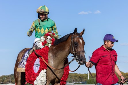 Chancer McPatrick - Horse Profile - BloodHorse