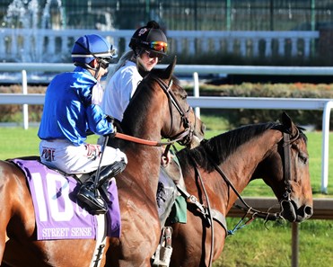 Sovereignty - Horse Profile - BloodHorse