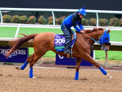 Equibase | Horse Racing | Horse Racing Entries | Horse Racing Results ...