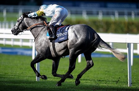 Charyn (IRE) - Horse Profile - BloodHorse