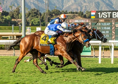 Iron Man Cal - Horse Profile - BloodHorse