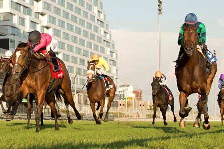 Scorching - Horse Profile - BloodHorse