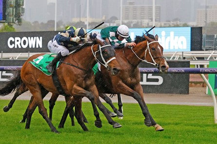 Via Sistina (IRE) - Horse Profile - BloodHorse
