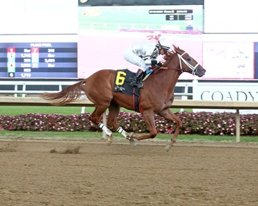 Ican - Horse Profile - BloodHorse